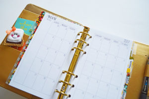 Fall Personal Planner Setup 2017 - Planning Inspired