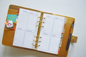 Fall Personal Planner Setup 2017 - Planning Inspired