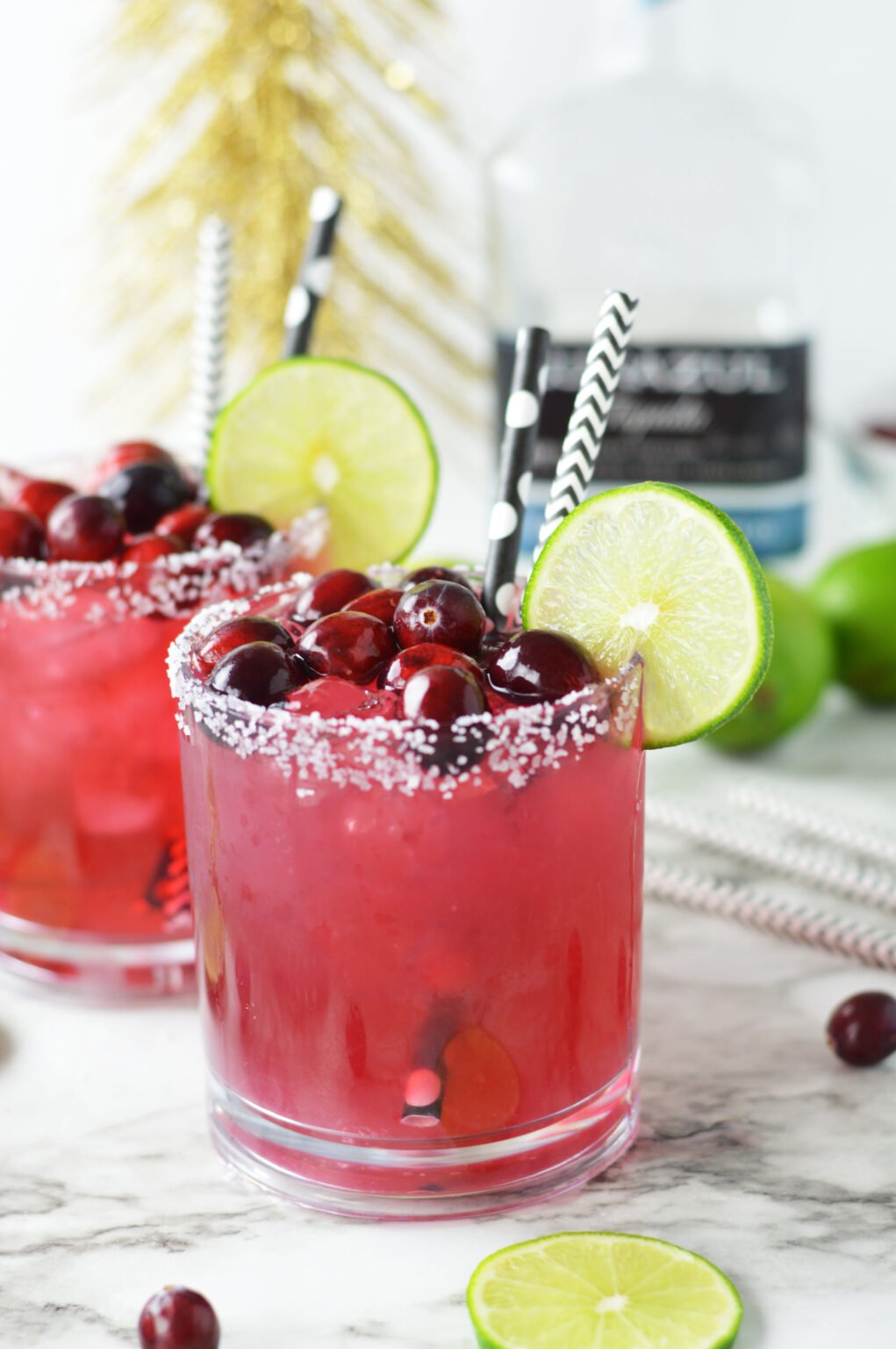 Christmas Cranberry Margarita Recipe - Planning Inspired