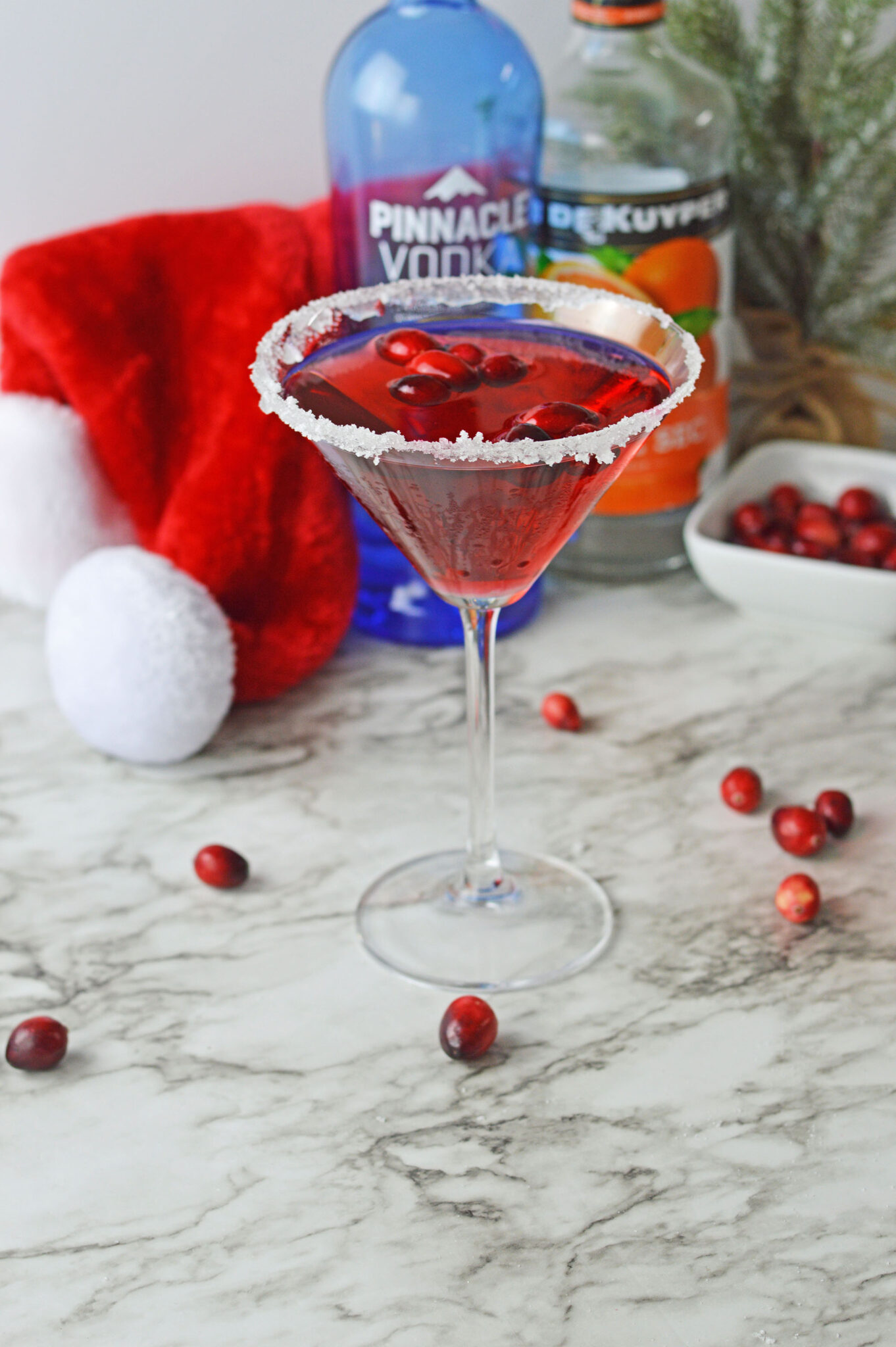 Santa Clausmopolitan Recipe - Planning Inspired
